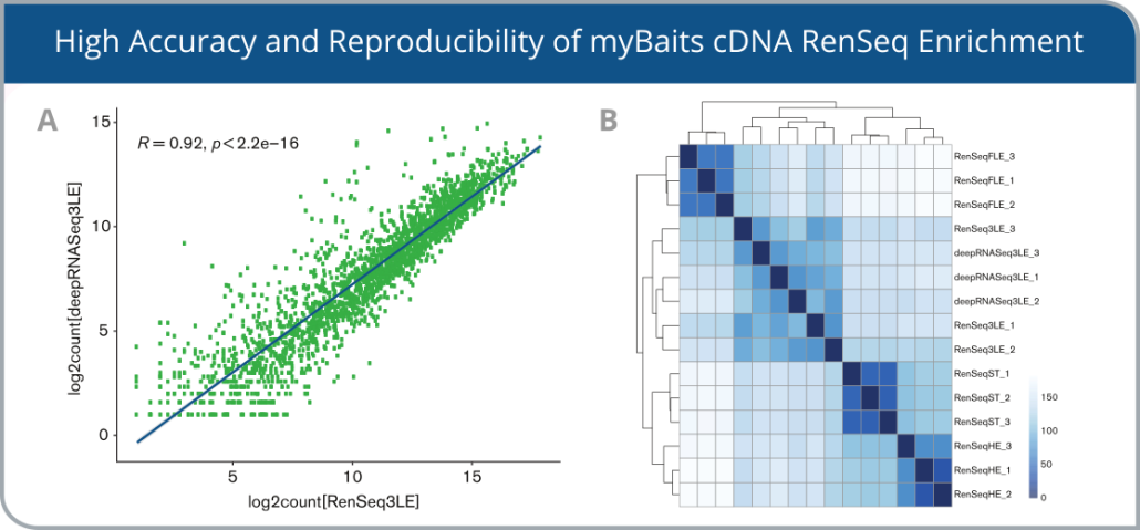 myBaits Custom RNA Targeted Sequencing Kits