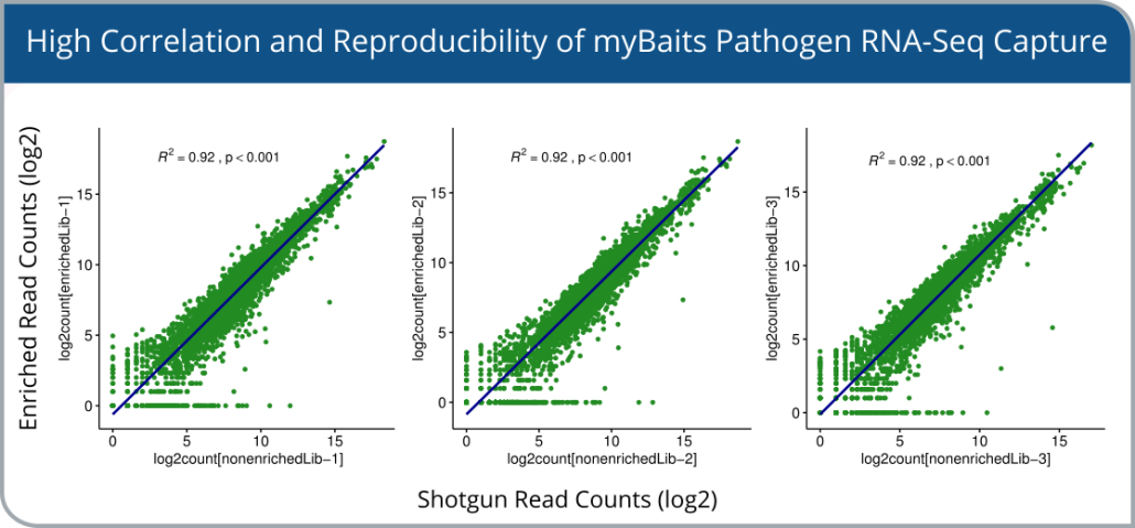 myBaits Custom RNA Targeted Sequencing Kits