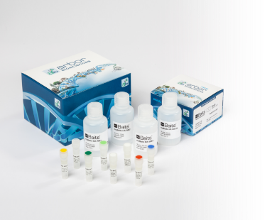 DNA and RNA Extraction Services for NGS