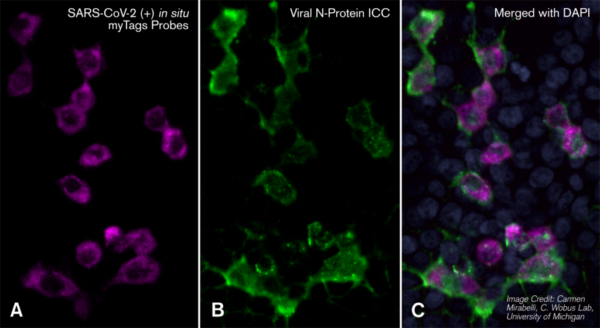 GA myTags* - Daicel Arbor