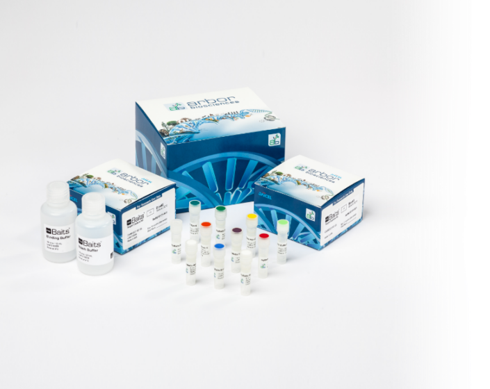 Start Your Targeted NGS Project With Our Predesigned Kits