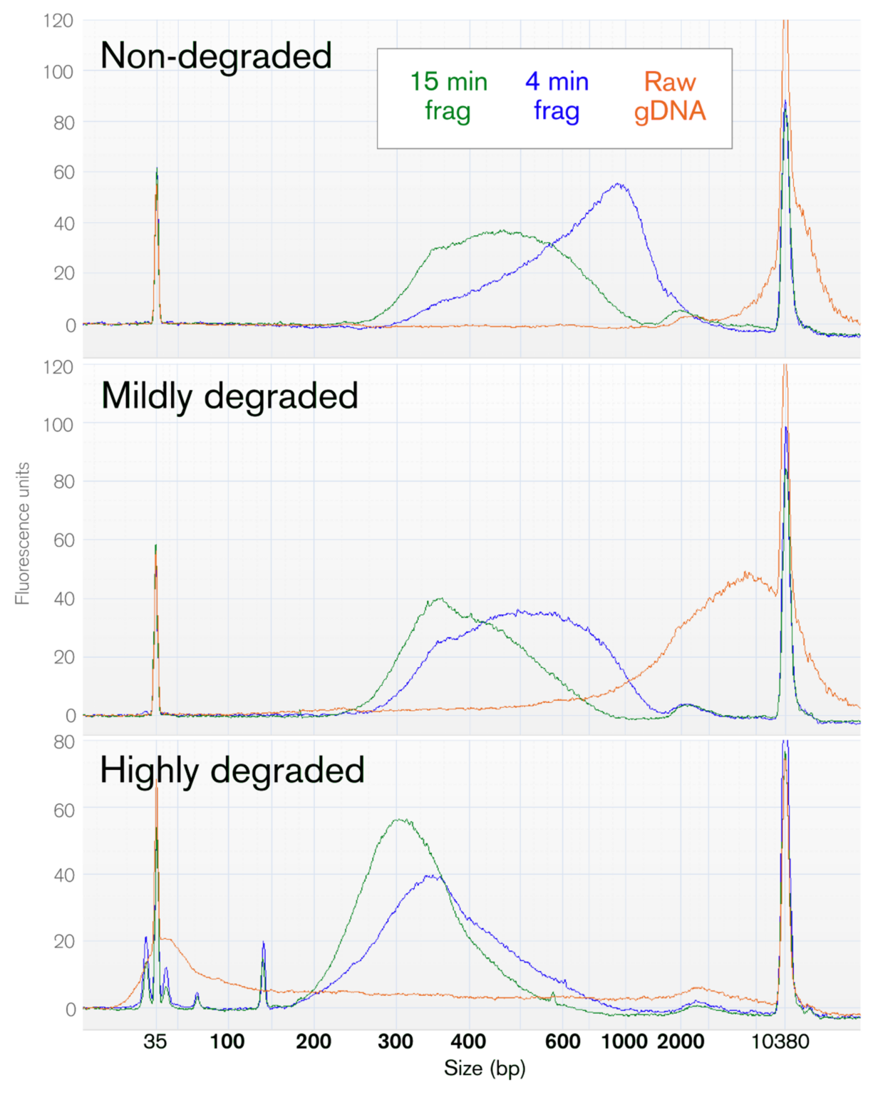 Robust NGS library preparation for targeted sequencing