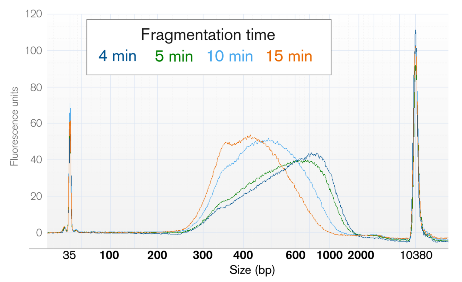 Robust NGS library preparation for targeted sequencing
