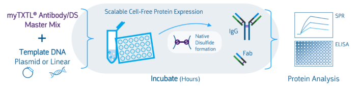 Reliable Cell-Free Protein Expression | Arbor Biosciences