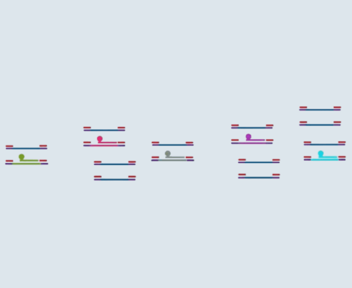 Hybridization capture in targeted NGS - Daicel Arbor